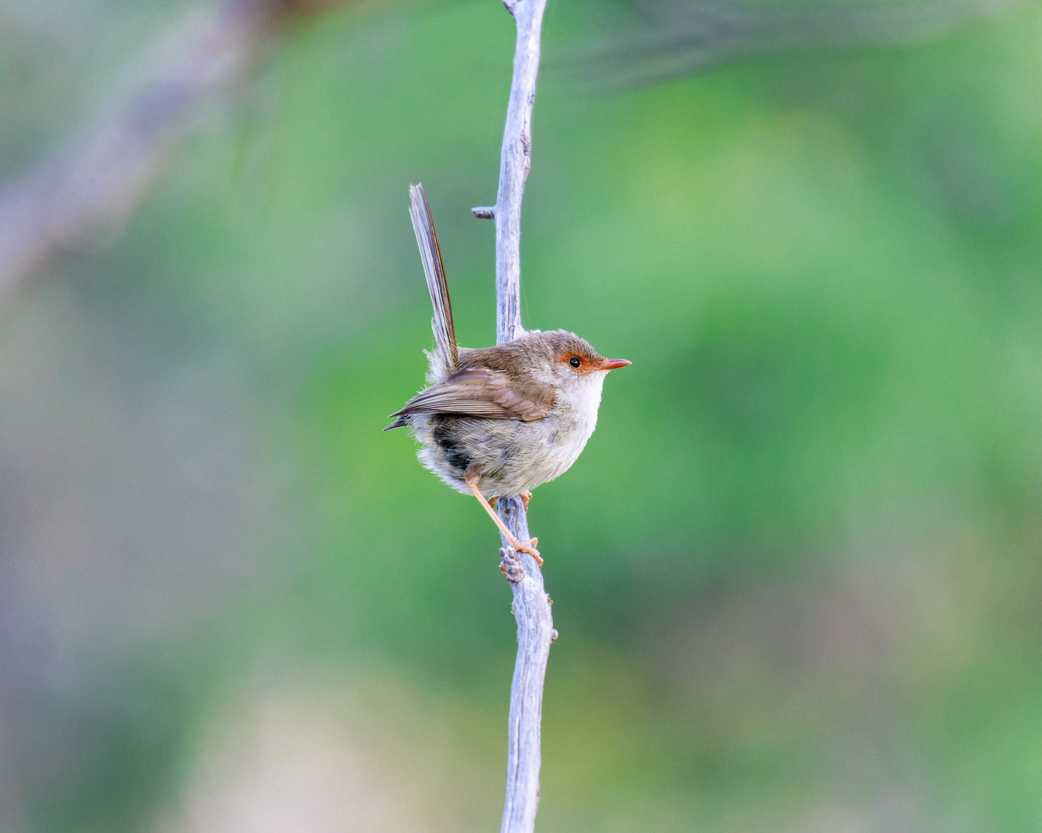 Photo Gallery | Ben Dews